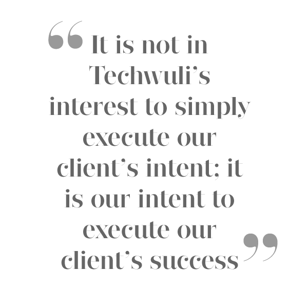 Techwuli - Entrepreneur Venture StartUp Package